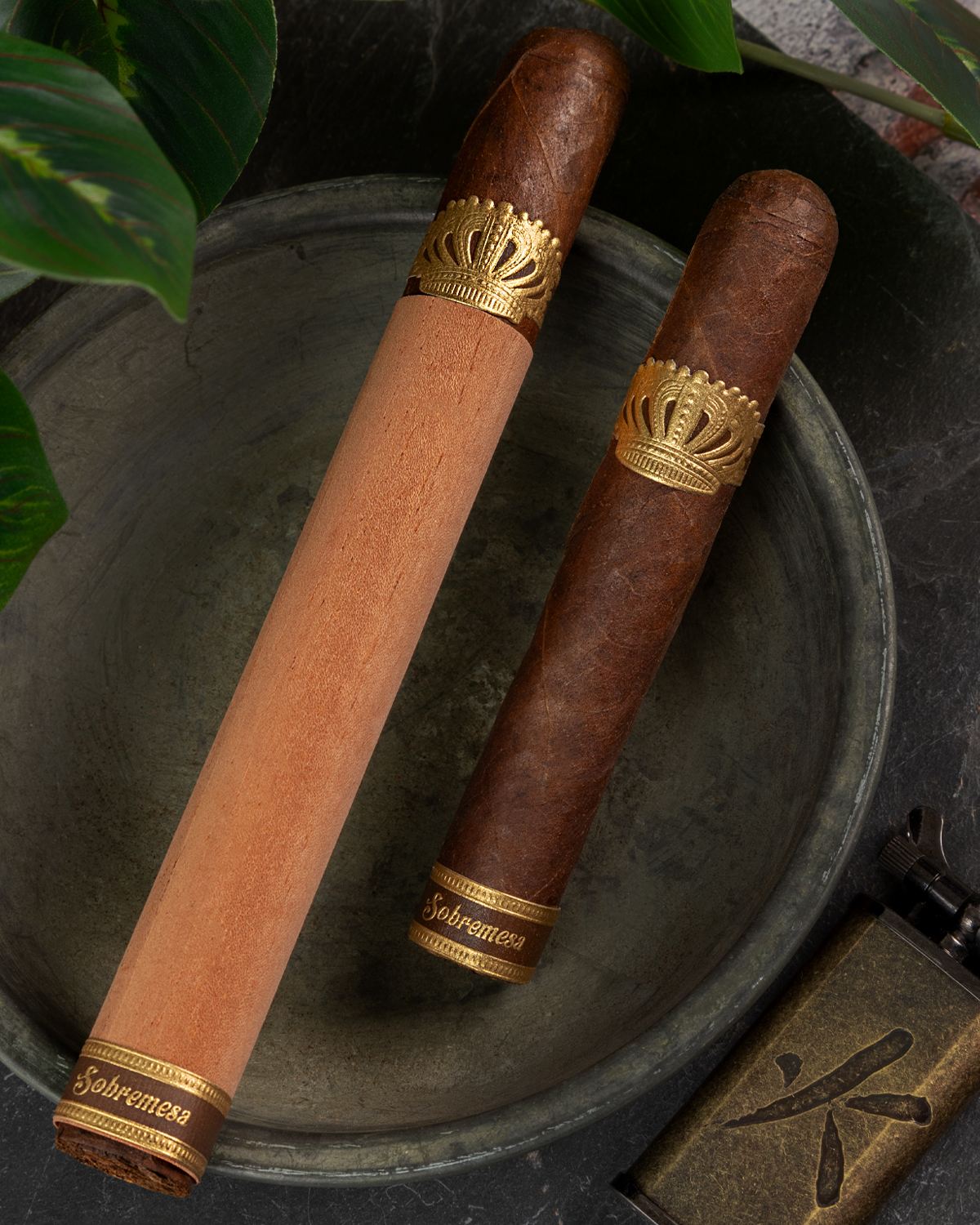 What's in your Humidor? | Jeremy Reeves