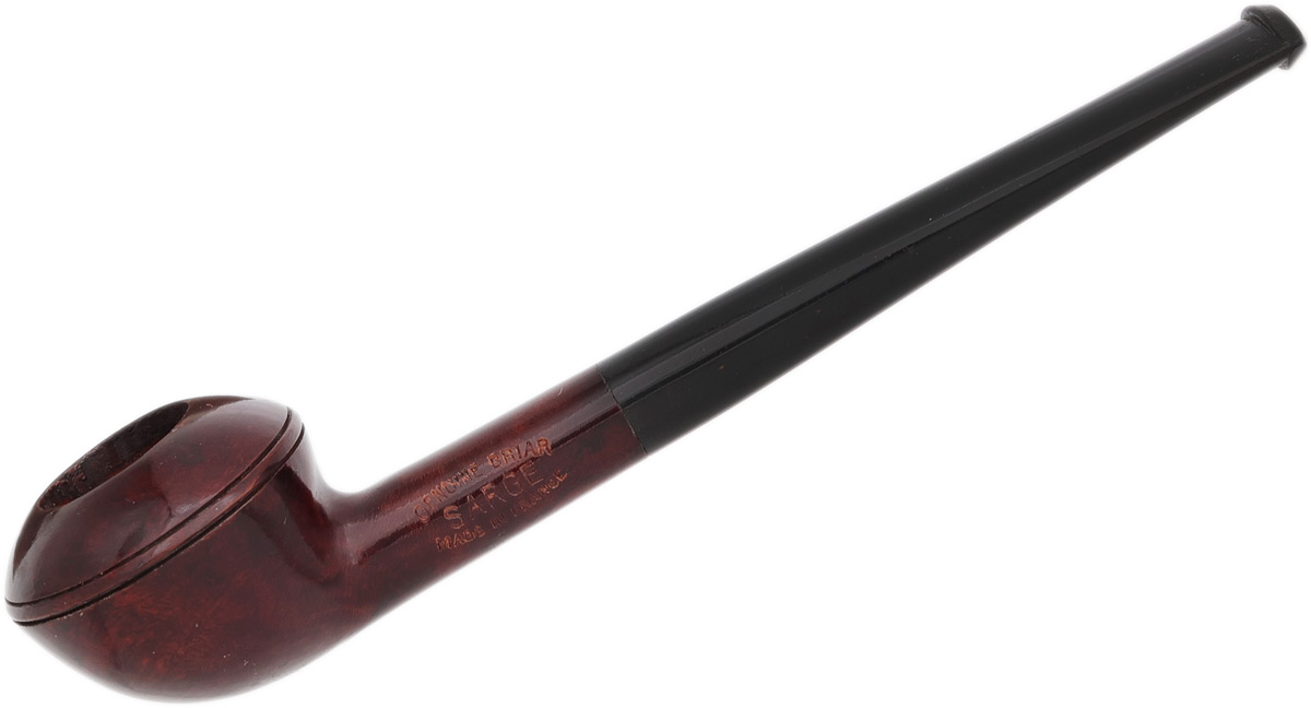 Brulor Smooth Rhodesian